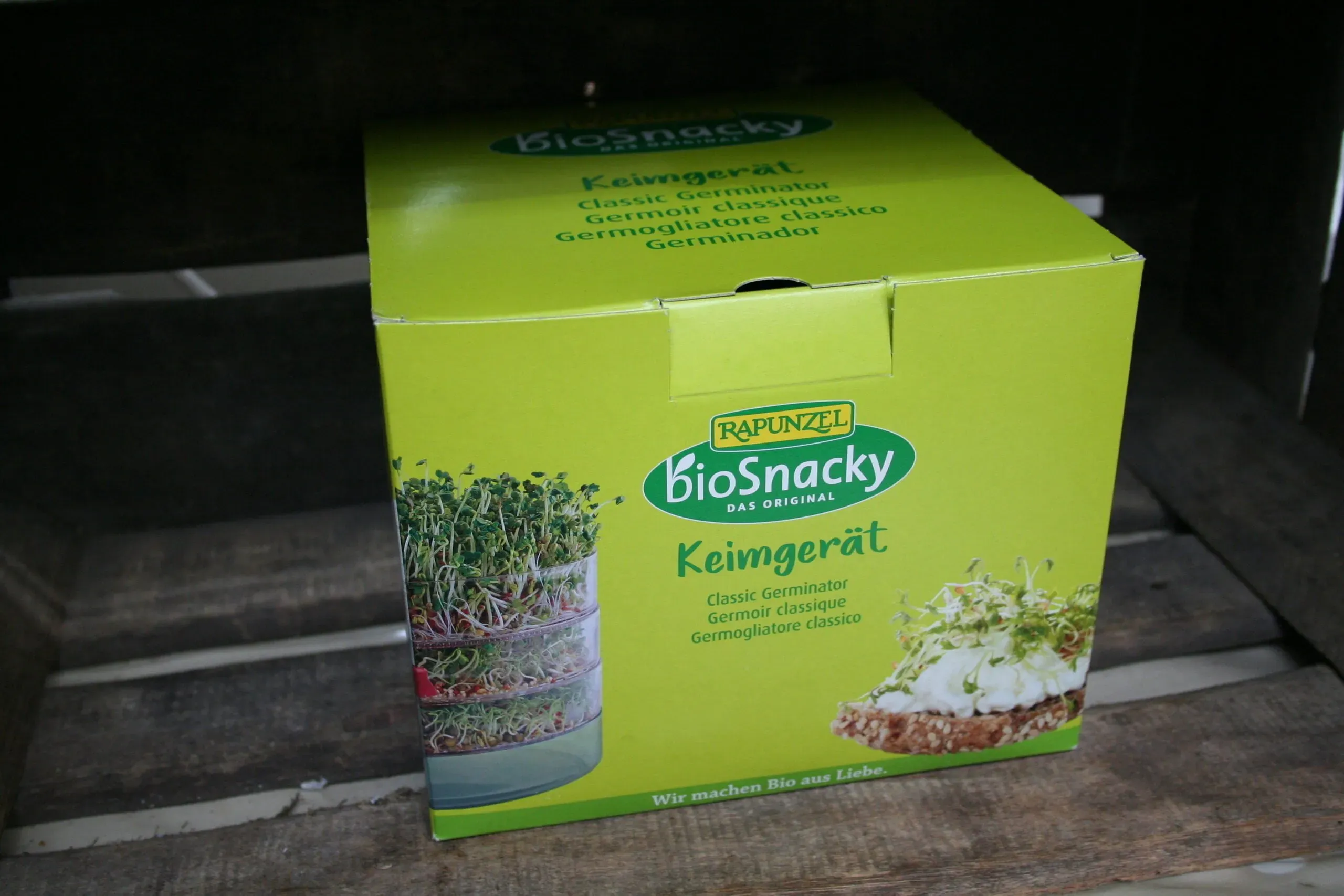 RAPUNZEL BioSnacky Glass Germinator (large) - Organically Speaking ...